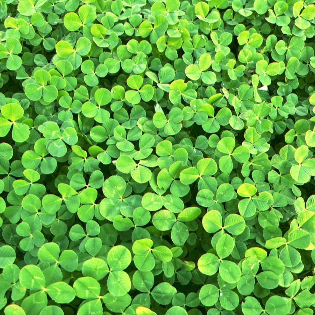 kokiさんのインスタグラム写真 - (kokiInstagram)「Recent photos 🥰💗🌱 Hat @bape_japan」11月18日 18時34分 - koki