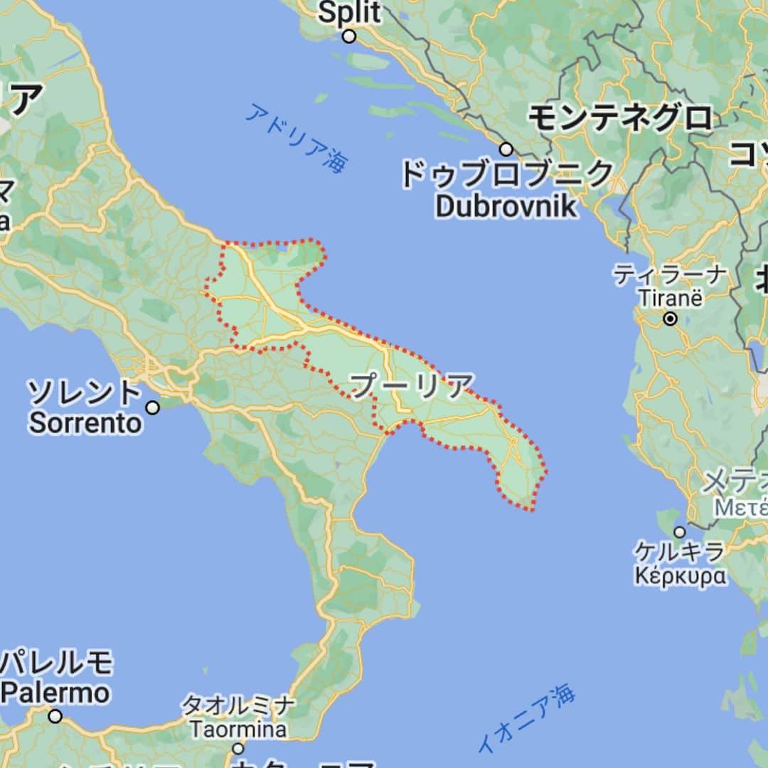 胃腸良子さんのインスタグラム写真 - (胃腸良子Instagram)「#pugia #love 昨日は東長崎のイタリアレストラン🇮🇹カドタさん ...